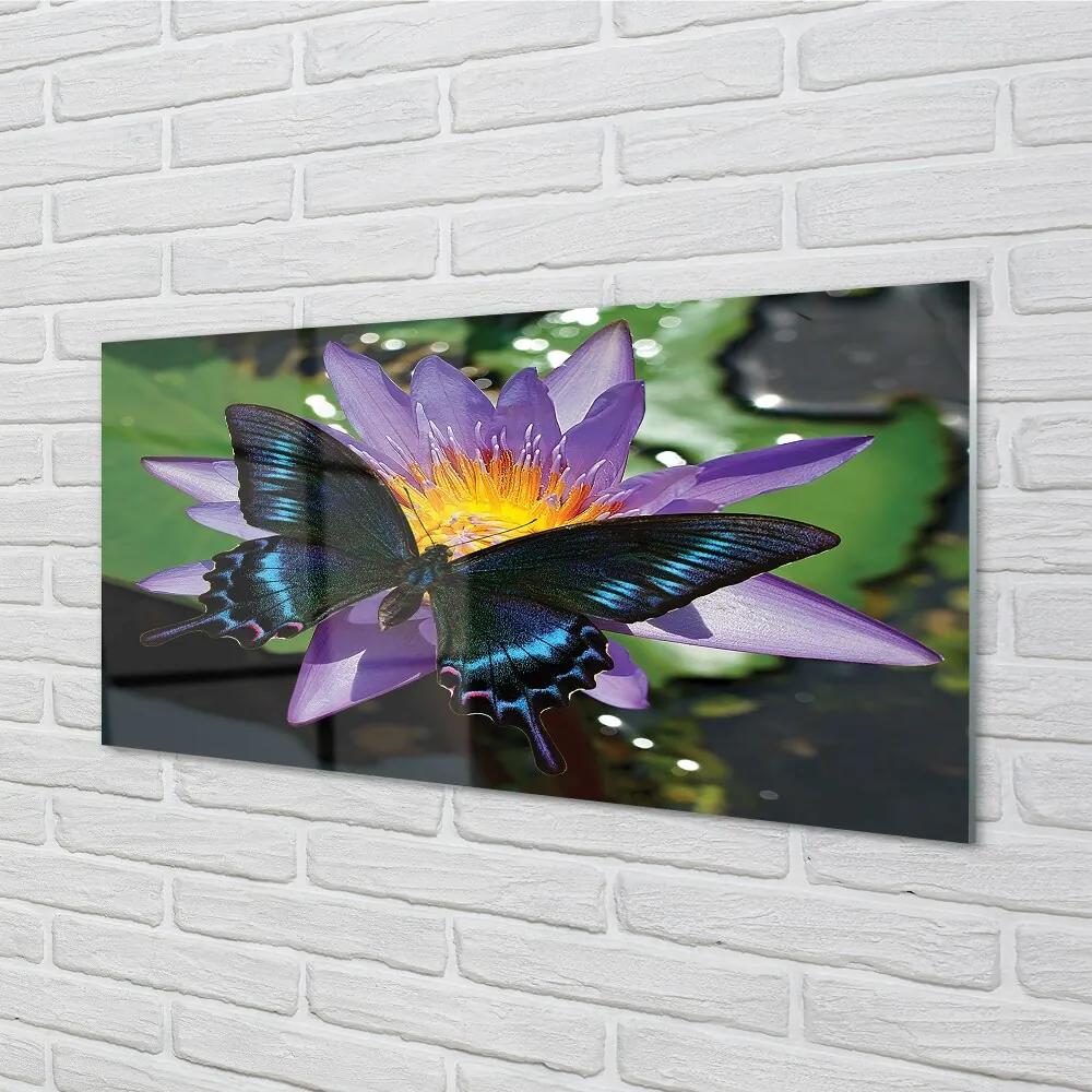 Obraz na skle motýl květina 125x50 cm