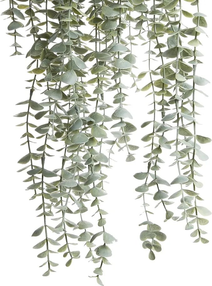 FLORISTA Eukalyptus převislý malý list 65 cm