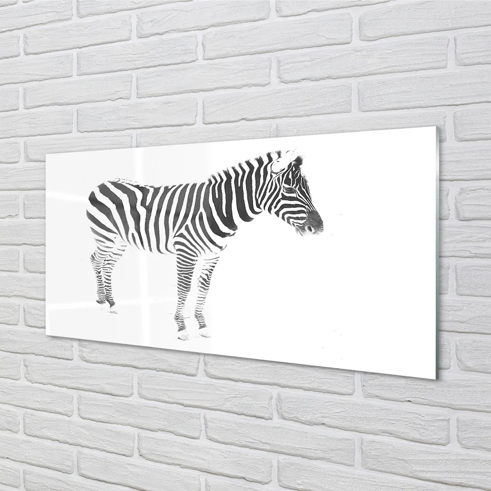 akrylový obraz malované zebra 120x60 cm