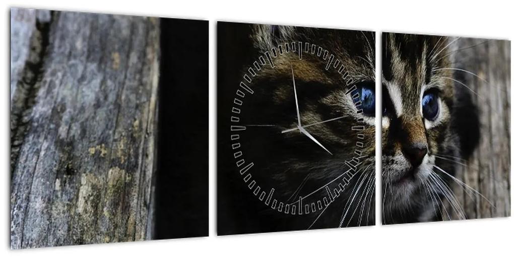 Obraz koťátka (s hodinami) (90x30 cm)