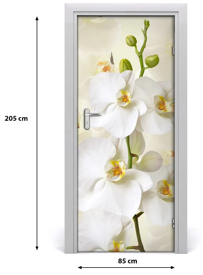 Fototapeta na dveře Bílá orchidej 85x205 cm