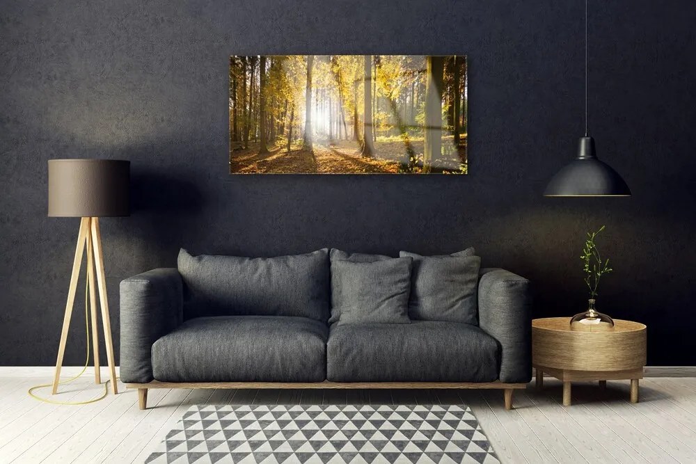 akrylový obraz Les Listy Rostlina Příroda 100x50 cm