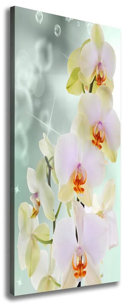Wallmuralia Foto obraz na plátně do obýváku Orchidej 50x125 cm
