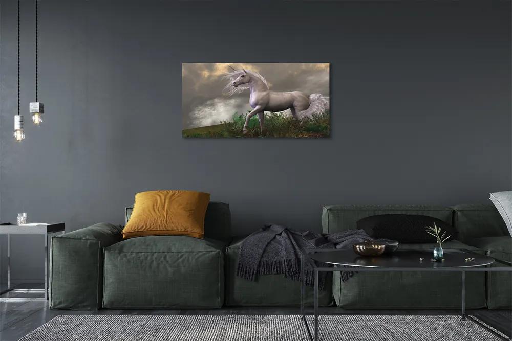 Obrazy na plátně Unicorn mraky 100x50 cm