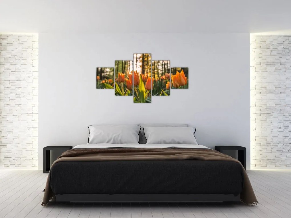 Obraz - oranžové tulipány (125x70 cm)