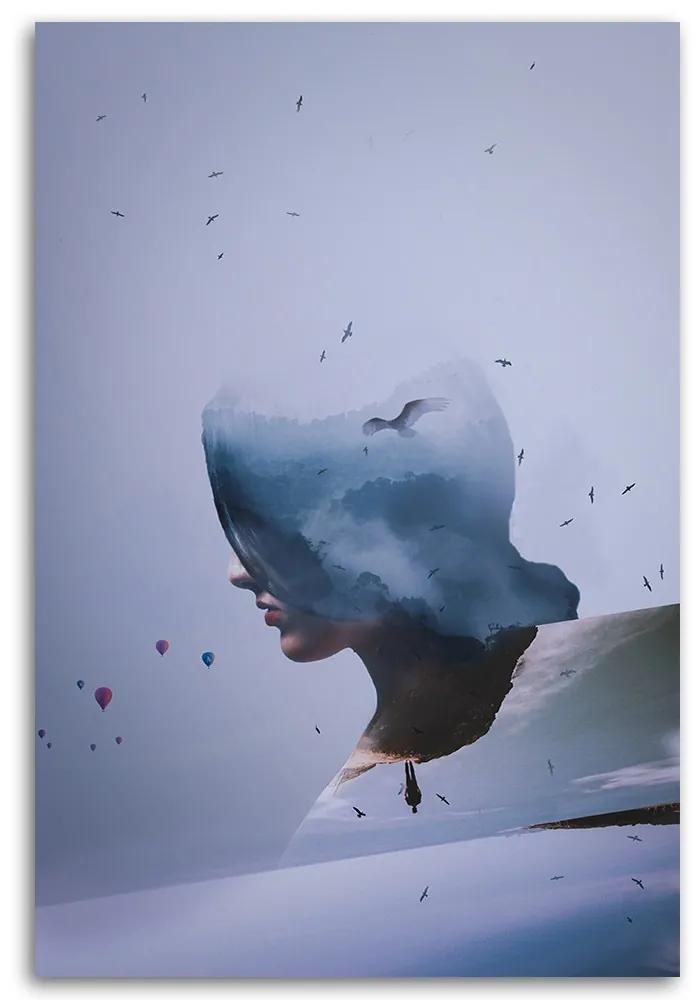 Gario Obraz na plátně Muži Ptáci Nebe Abstrakce - Bryantama Art Rozměry: 40 x 60 cm