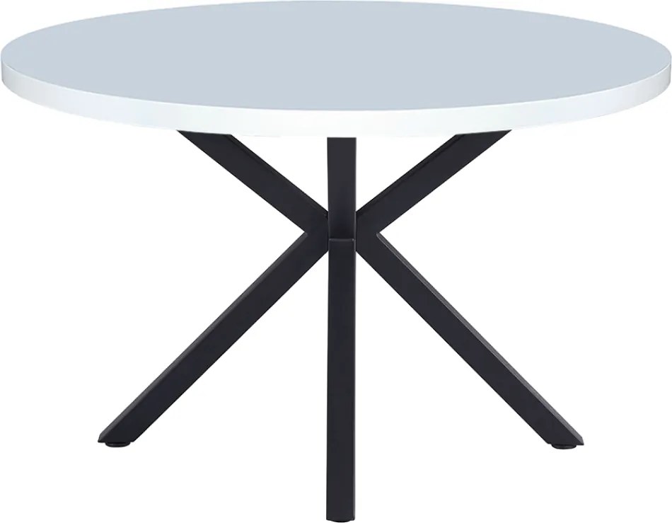 Jídelní stůl, bílá matná/černá, průměr 120 cm, MEDOR