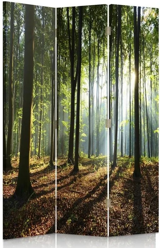 Paraván - The Sun'S Rays In The Forest | trojdílný | jednostranný 110x150 cm