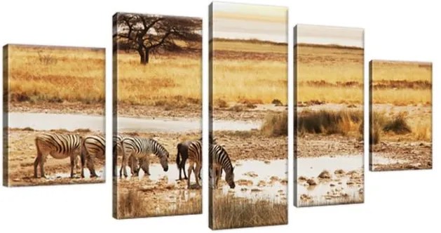 Tištěný obraz Zebry na Safari 150x70cm 1346A_5B