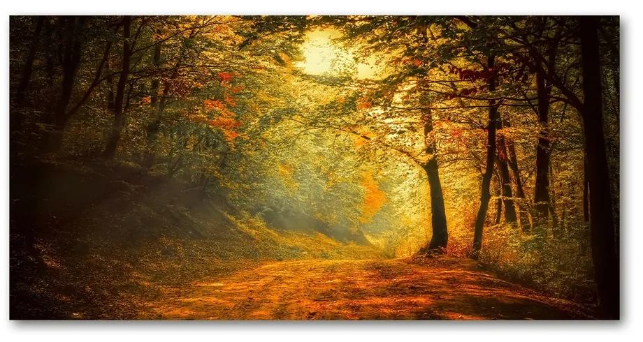 Wallmuralia Fotoobraz na skle Podzimní les 100x50 cm