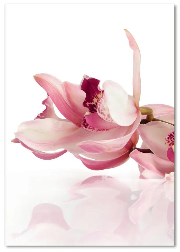 Wallmuralia Fotoobraz na skle Růžová orchidej 70x100 cm