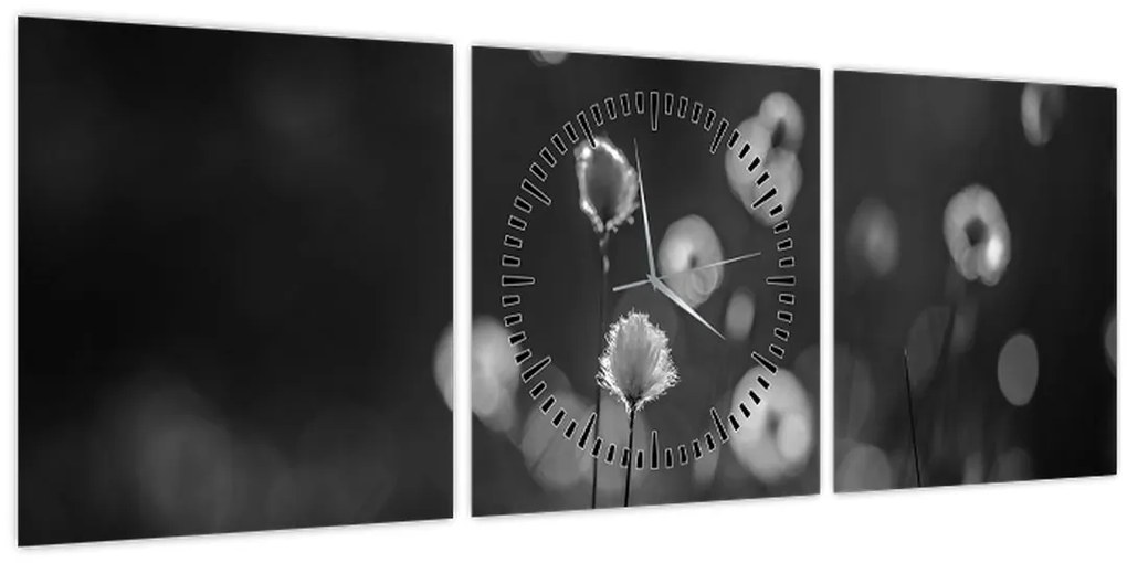 Obraz - Cottongrass na louce (s hodinami) (90x30 cm)