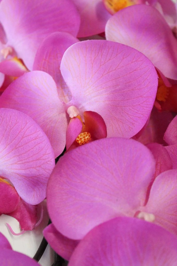 Fialová třístonková orchidej s listy 90cm