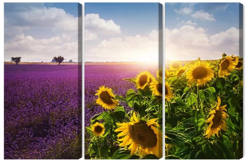 Vícedílný obraz Levandulová A Slunečnicová Pole 3D Nedostatek Nedostatek Přírodní plátno 120x80