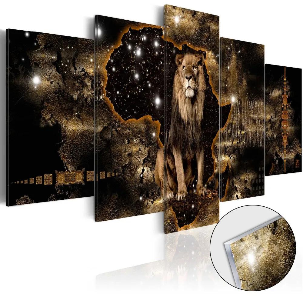 Obraz na skle Bimago - Golden Lion 100x50 cm