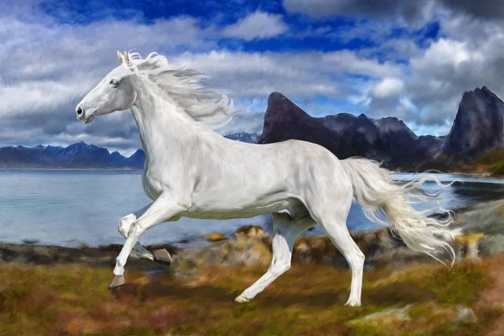 Obraz Kůň Ve Cvalu Nedostatek Nedostatek Plátno Canvas 120x80