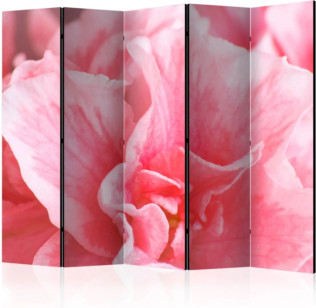 Paraván - Pink azalea flowers II [Room Dividers] 225x172