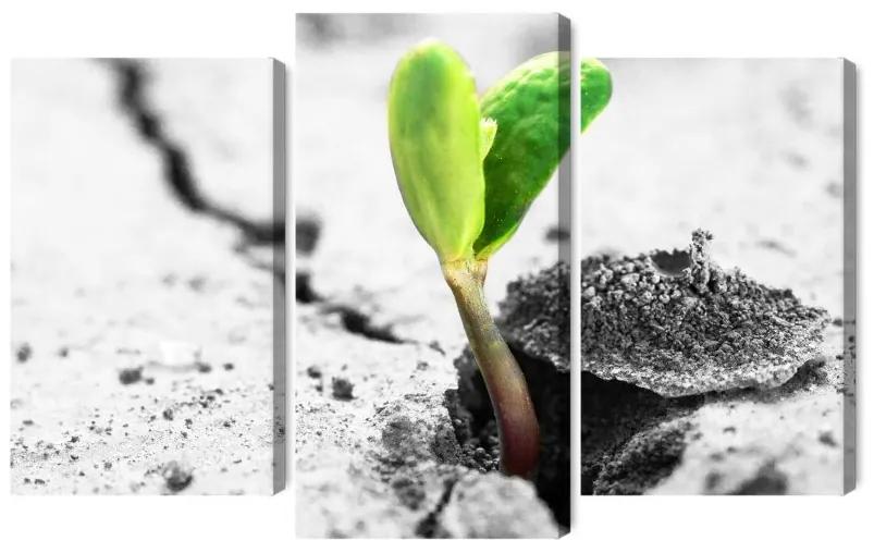 Vícedílný obraz 3D Rašení Rostlin Nedostatek Nedostatek Přírodní plátno 180x120