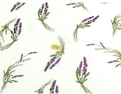 APETIT Ubrus LAVENDER 150x250cm, PVC