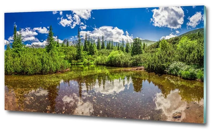 Wallmuralia Foto obraz sklo tvrzené Jezerov  lese 100x50