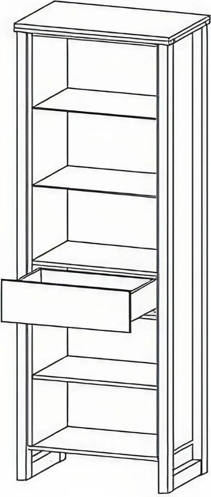 Vysoká vitrína BARDARO 1D1S1W dub grange/černá