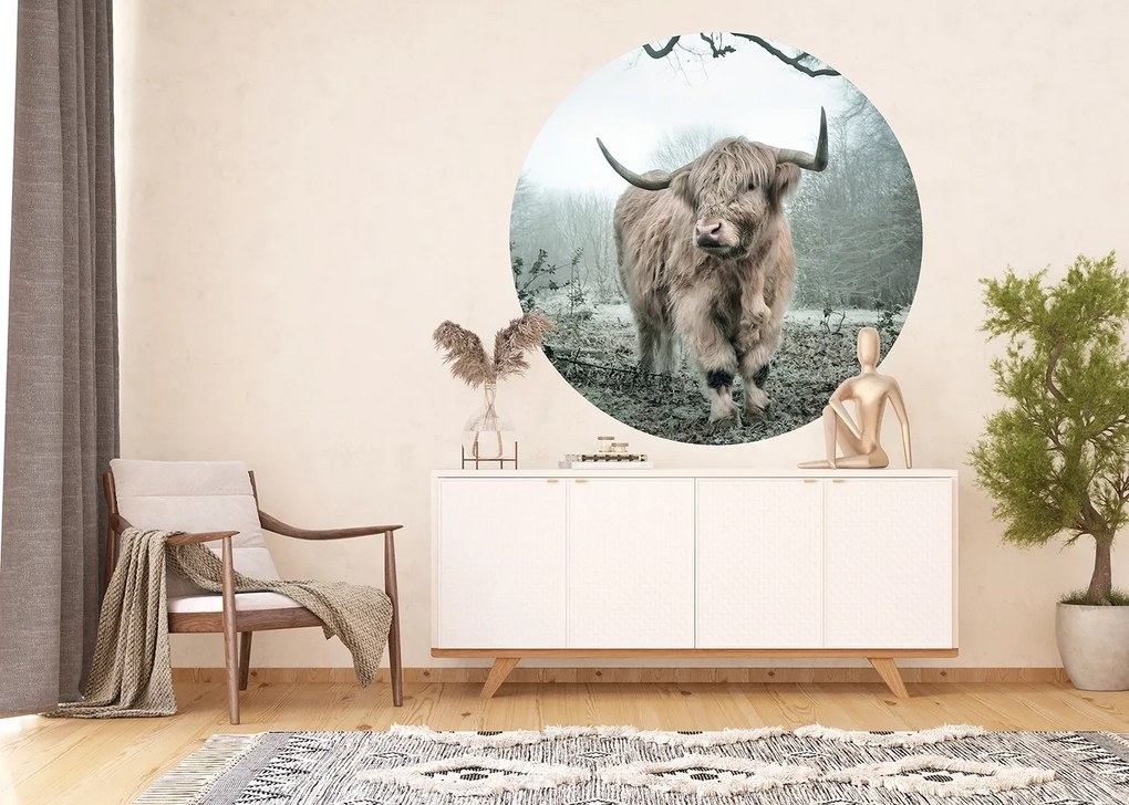 Samolepící vliesová fototapeta na zed' Majestátný Skot | 140 x 140 cm | DCR3329