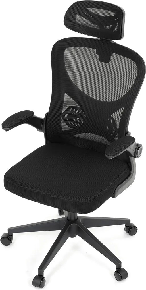Ergonomická kancelářská židle ALEXANDRE - černá síťovina