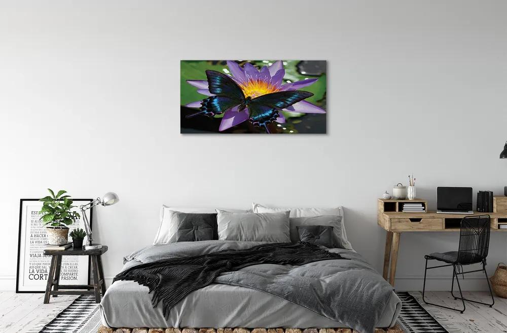 Obrazy na plátně motýl květina 120x60 cm