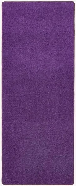 Hanse Home Collection koberce Fialový kusový koberec Fancy 103005 Lila ROZMĚR: 200x280