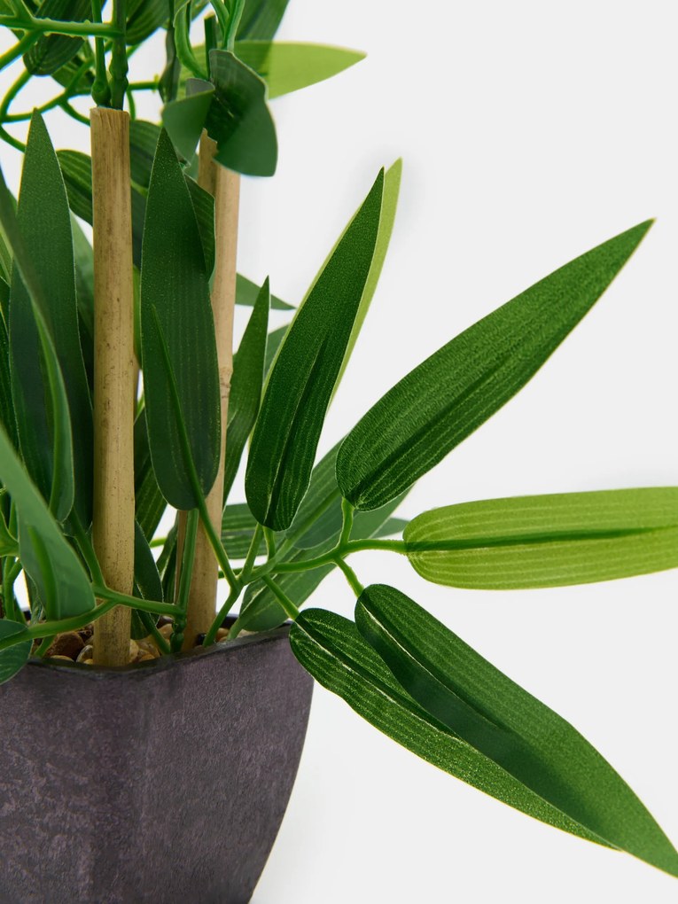 Sinsay - Decorative plant in a pot - zelená