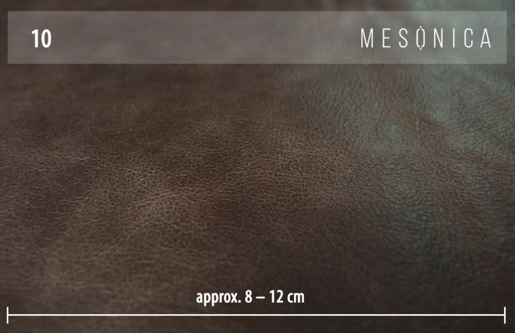 Vintage tmavě hnědé kožené křeslo MESONICA Puzo