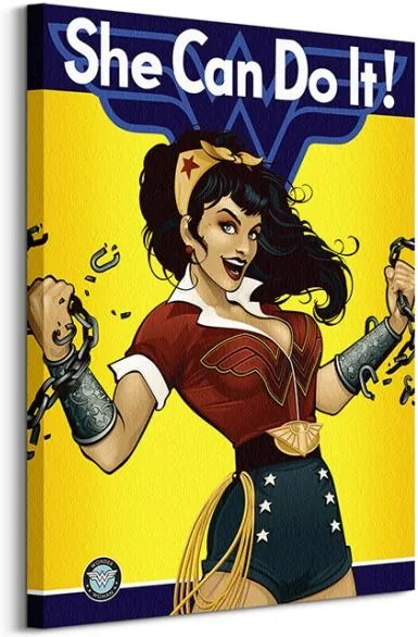 Obraz na plátně DC Comics Wonder Woman (She can do it) 60x80cm WDC99368