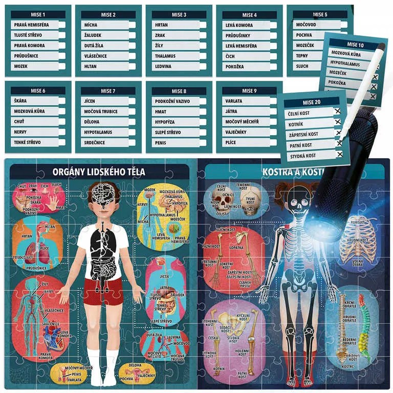_Ostatní 1_ ADC HEADU Lidské tělo pod rentgenem puzzle na baterie s UV baterkou Světlo hecs53238