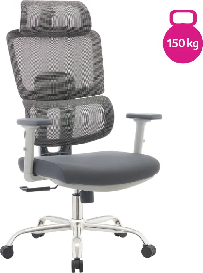 Ergonomická kancelářská židle DYNAMIC - šedá síťovina / nosnost 150 kg