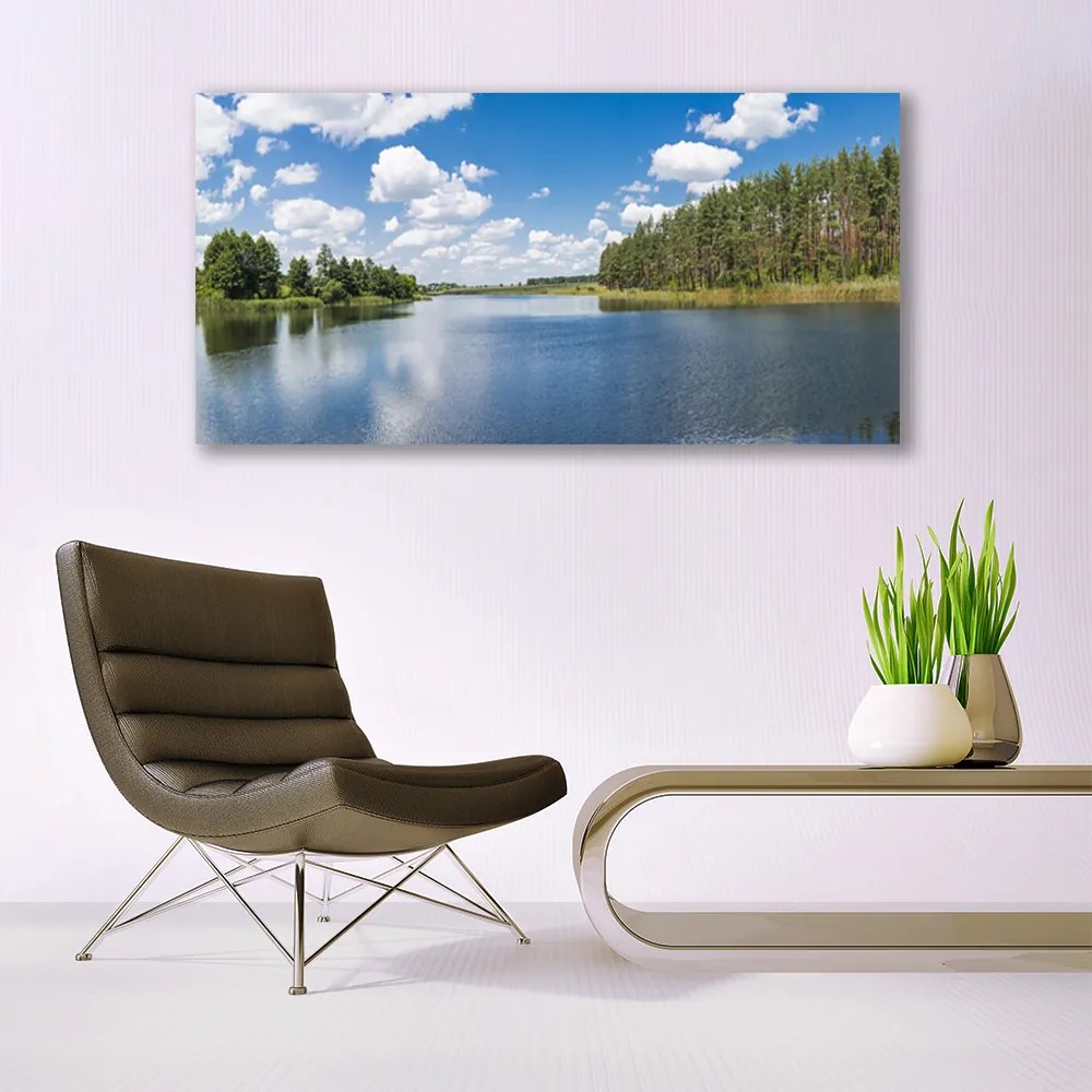 Plexisklo-obraz Jezero Les Krajina 120x60 cm