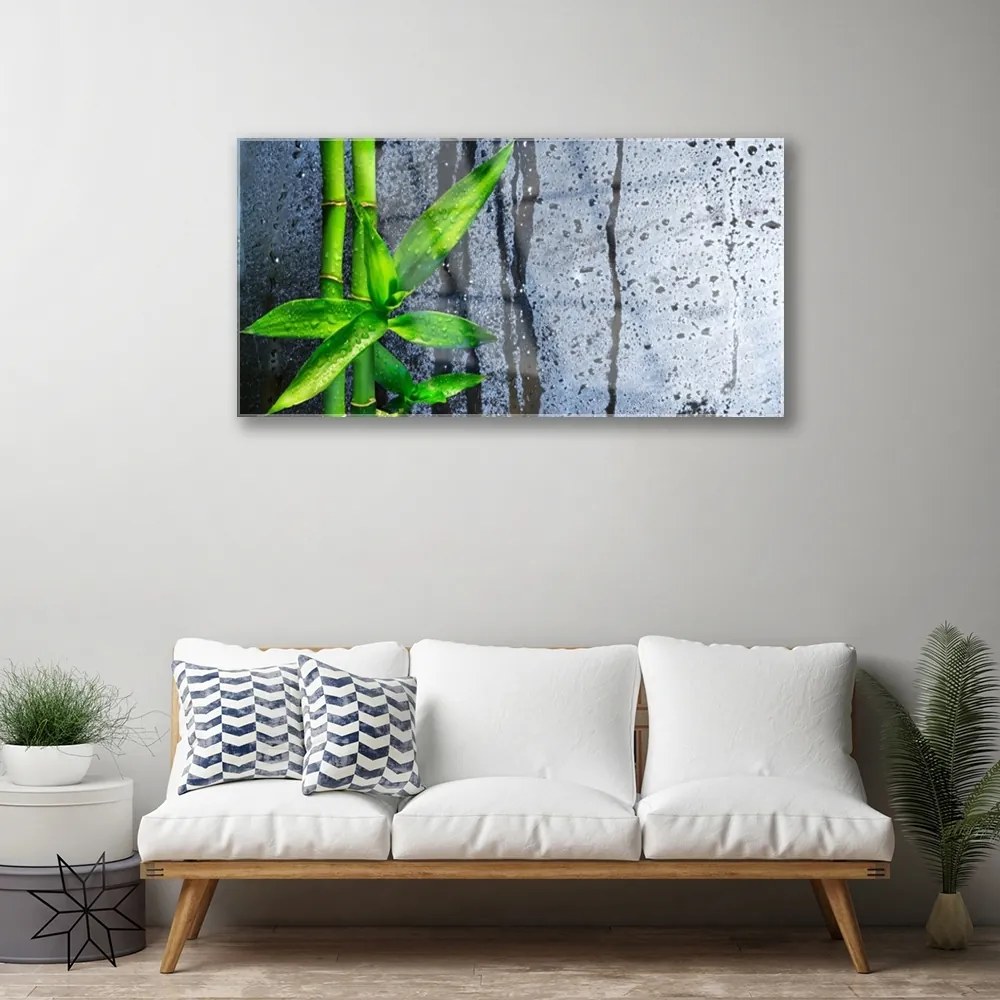 Obraz na skle Bambus List Rostlina Příroda 100x50 cm