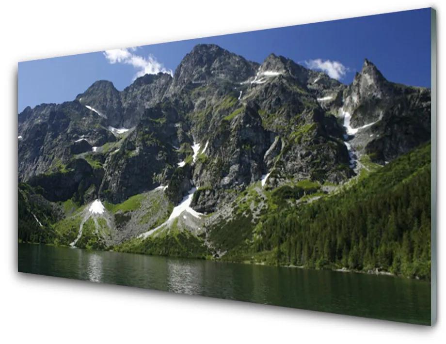 Obraz na skle Hory Jezero Les Krajina 120x60 cm