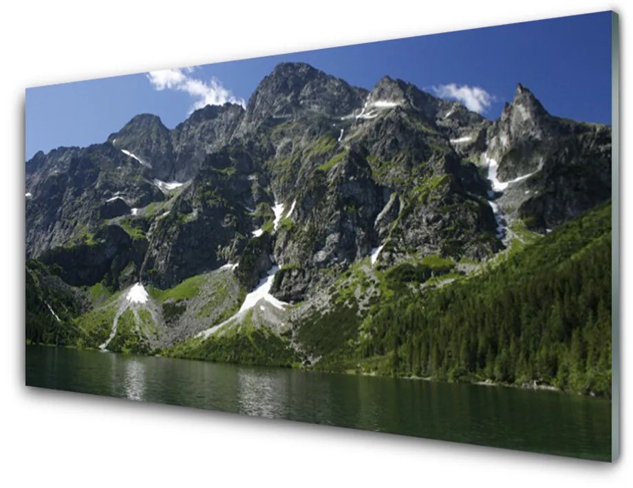 Obraz na skle Hory Jezero Les Krajina 140x70 cm