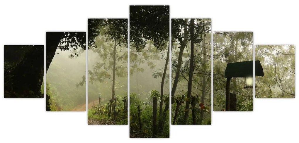 Obraz ranní mlhy (210x100 cm)