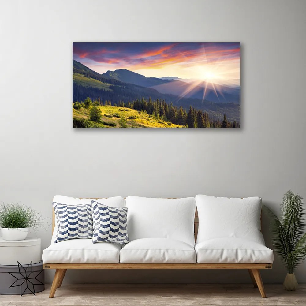 Obraz na plátně Hora Les Slunce Krajina 100x50 cm