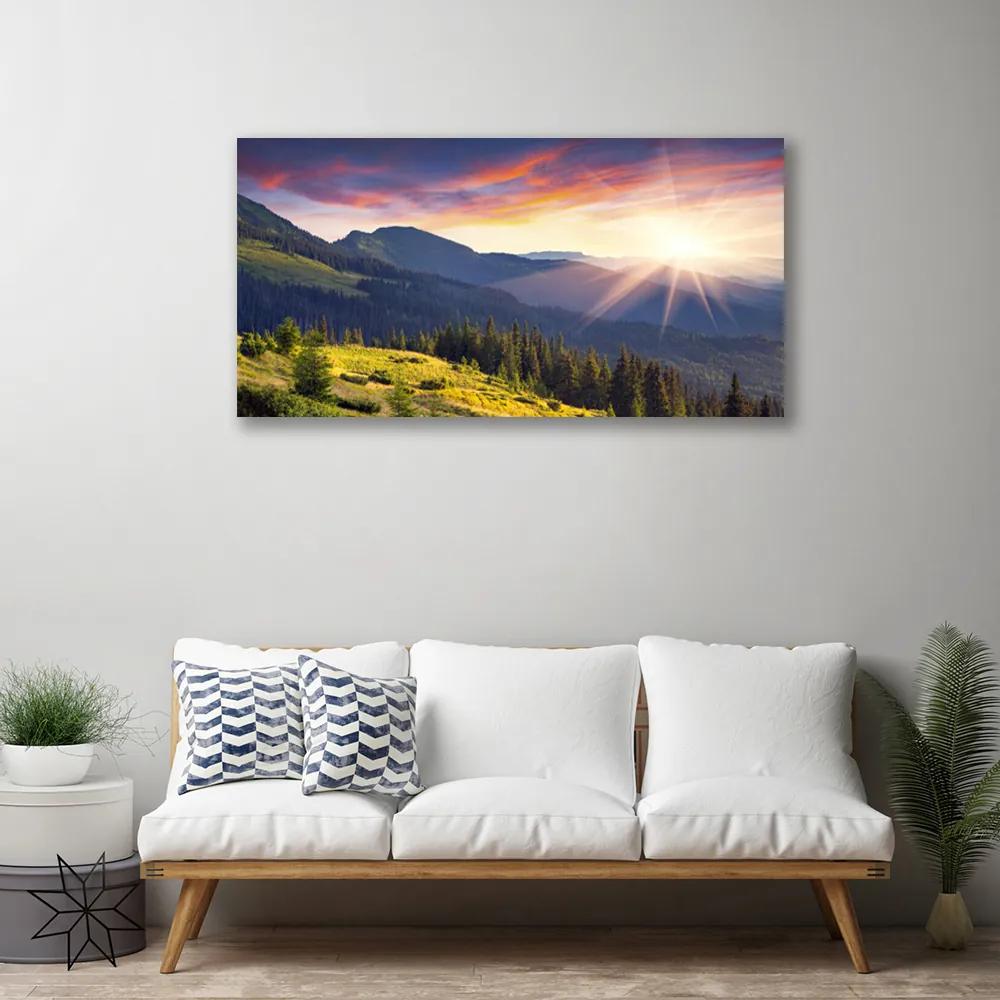 Obraz na plátně Hora Les Slunce Krajina 120x60 cm