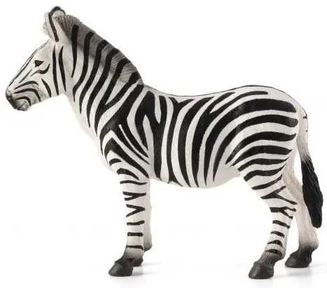 Mojo Zebra