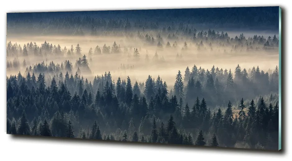 Wallmuralia Foto obraz fotografie na skle Mlha nad lesem 125x50 cm