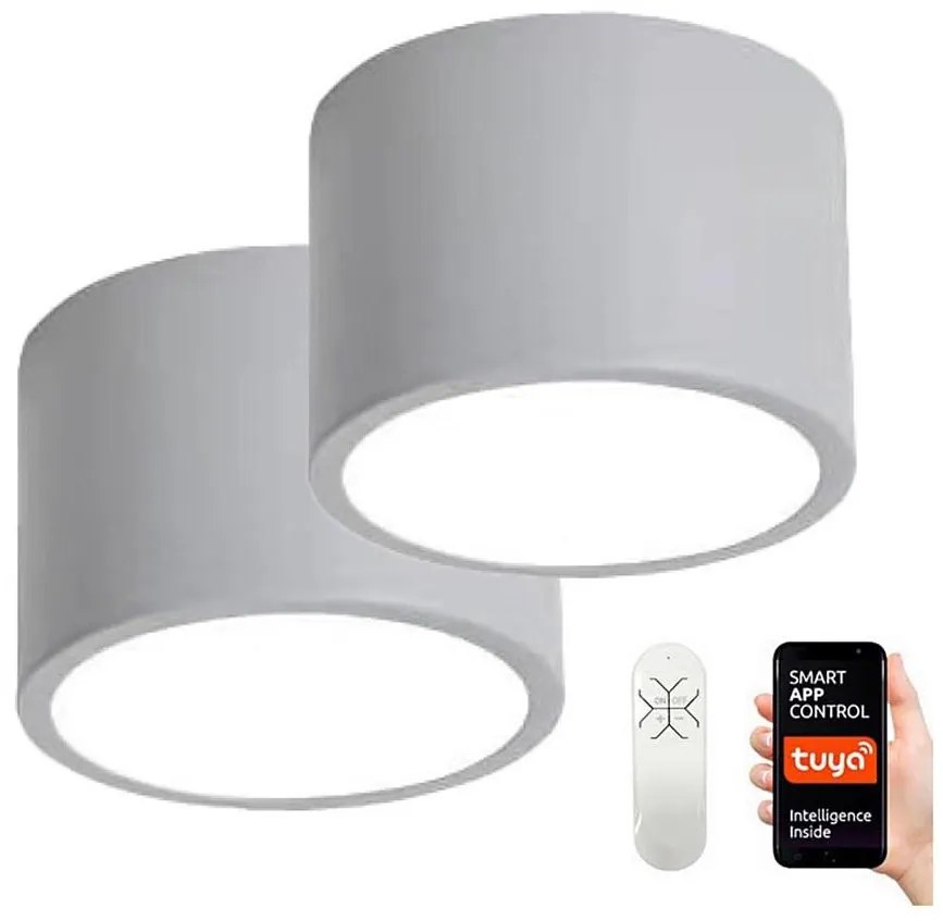 Immax NEO 07143-GR15BD-SADA 2xLED Stropní svítidlo RONDATE 12W/230V Tuya šedá+DO