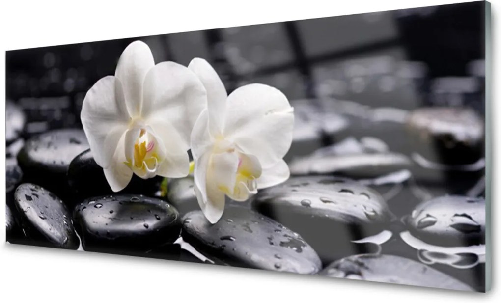 Plexisklo obraz Kameny Zen Bílá Orchidej