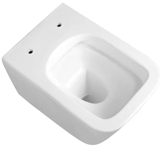 BPS-koupelny Závěsná WC mísa se SoftClose sedátkem HYD-5616, bílá/zlatý lem