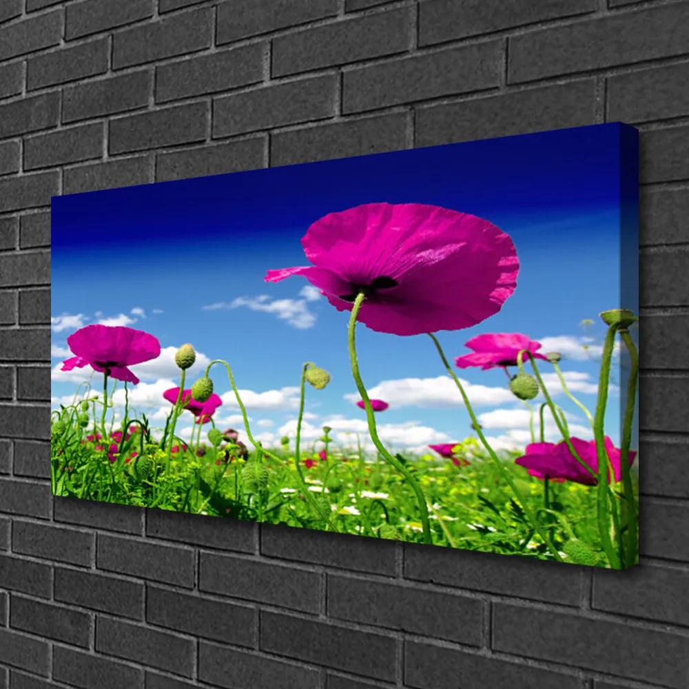 Obraz na plátně Louka Květiny Nebe Příroda 125x50 cm