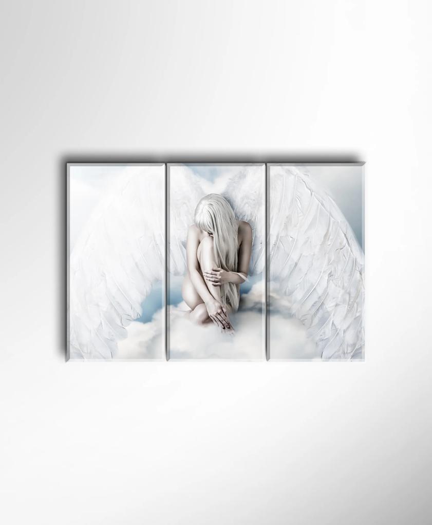 Malvis ® Obraz Anděl v nebi ROZMĚR (šířka x výška): jednodílný obdélník 90x60 cm