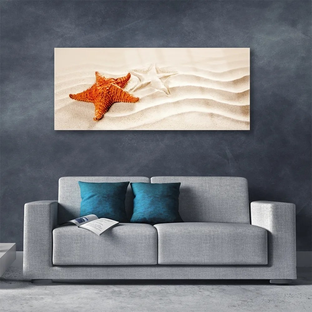 Plexisklo-obraz Hvězdice na Písku Pláž 125x50 cm