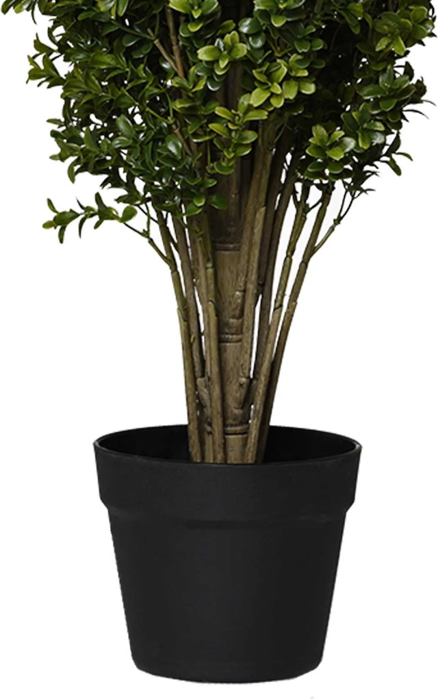 Umělý buxus BUXA, plast, výška 70 cm, zelený